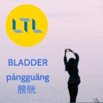 72 Body Parts🦵🏼in Chinese From Head to Toe - Definitive Guide | LTL Xi'an