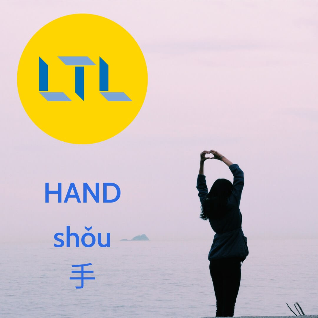 72 Body Parts🦵🏼in Chinese From Head to Toe - Definitive Guide | LTL Xi'an