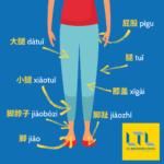 72 Body Parts🦵🏼in Chinese From Head to Toe - Guide & QUIZ