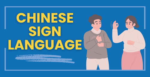 Chinese Sign Language | An Interesting Guide to 中国手语 👀
