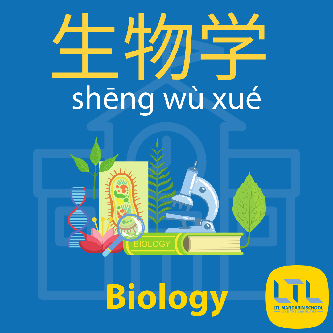 Chinese School Vocabulary // Grammar, Subjects (& Much More)