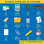 Chinese School Vocabulary // Grammar, Subjects (& Much More)