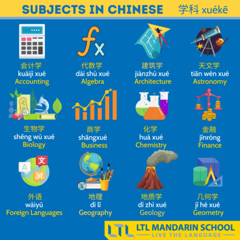 Chinese School Vocabulary // Grammar, Subjects (& Much More)