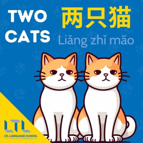 9 Surprising Reasons Why Mandarin Isn’t Hard To Learn At All