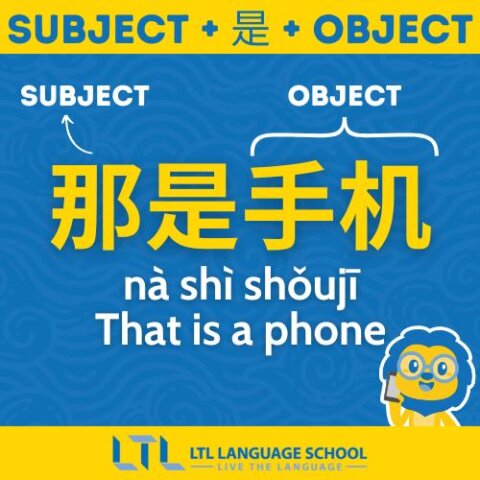 Basic Chinese Grammar // A Simple Guide To Grammar (& Quiz!)