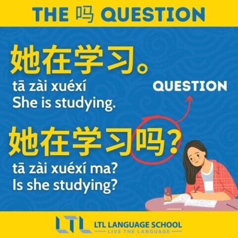 Basic Chinese Grammar // A Simple Guide To Grammar (& Quiz!)