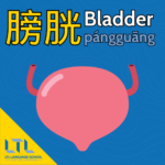72 Body Parts🦵🏼in Chinese From Head to Toe - Guide & QUIZ