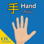 72 Body Parts🦵🏼in Chinese From Head to Toe - Guide & QUIZ